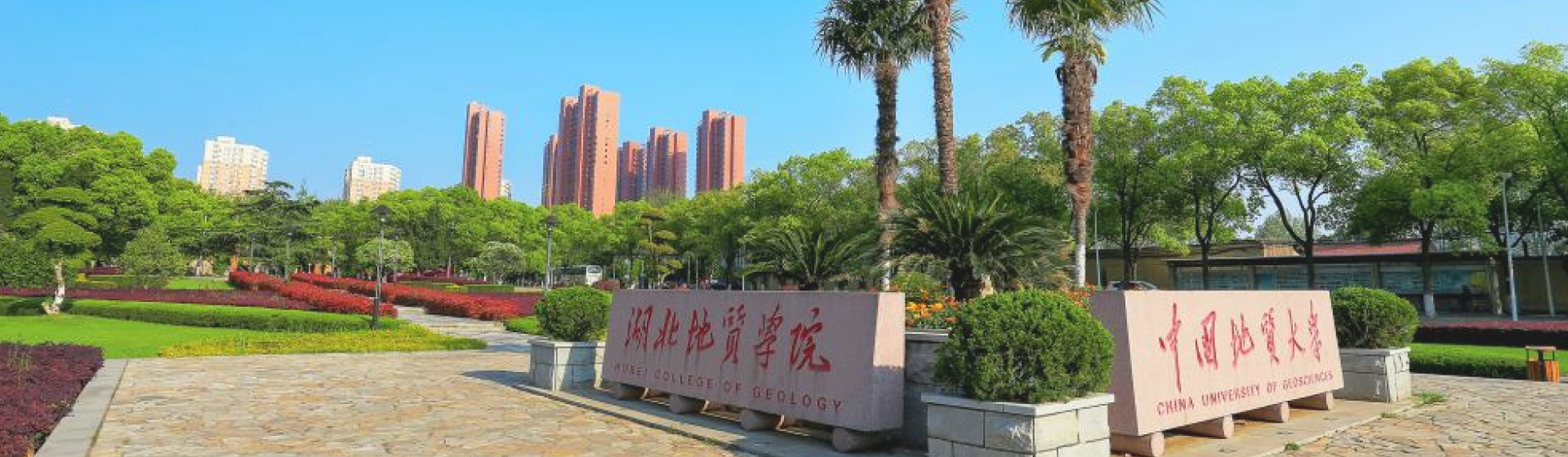 sebms_study_admin_web